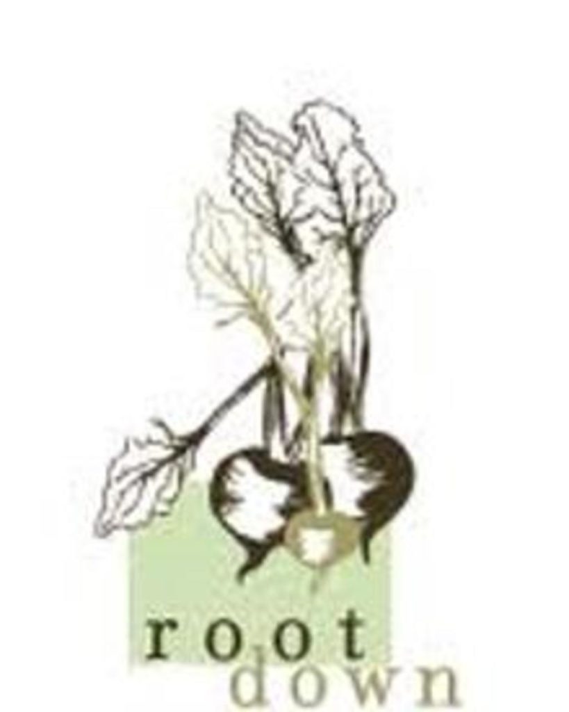 The Roots of Happiness: Root Down Brings it Back to Basics - 303 Magazine