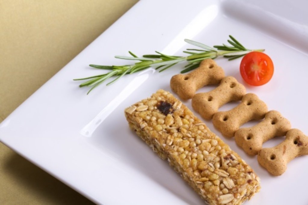 Let’s Get Fur-Real: Fuel for Fido - 303 Magazine