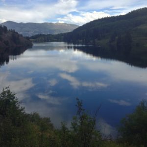 The WildLife: Lower Cataract Lake - 303 Magazine