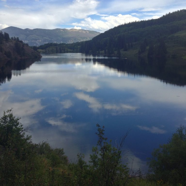 The WildLife: Lower Cataract Lake - 303 Magazine