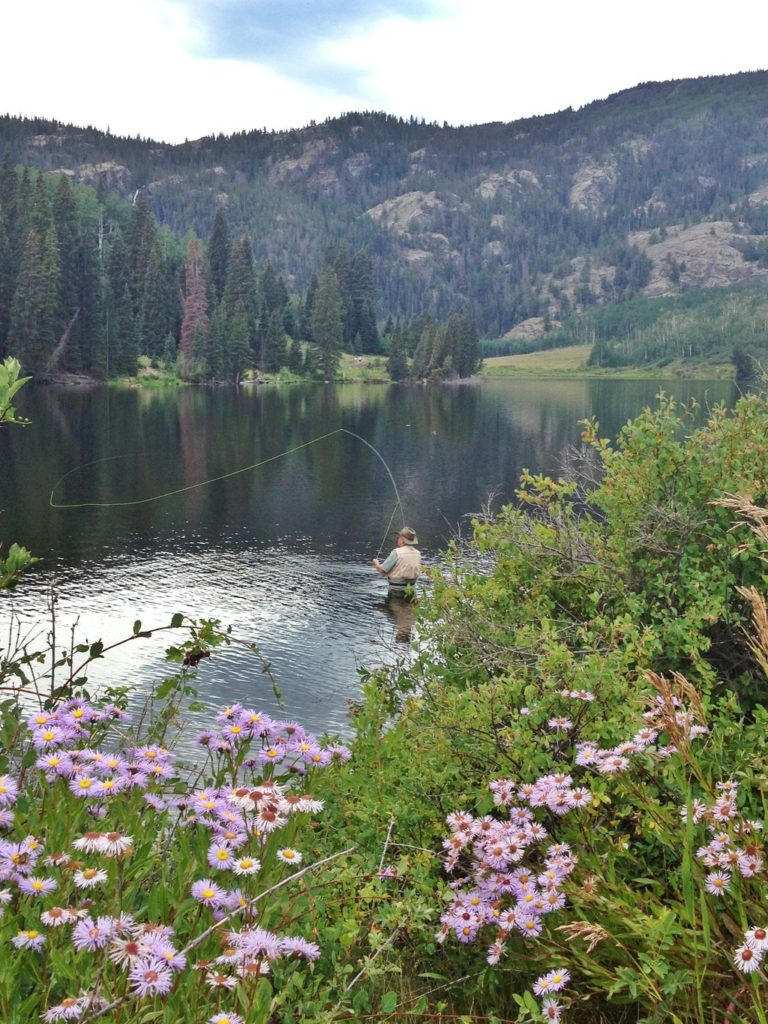 The WildLife: Lower Cataract Lake - 303 Magazine