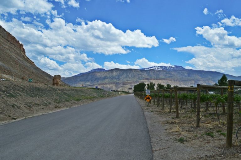 An Insider's Guide to Exploring Palisade This Summer - 303 Magazine