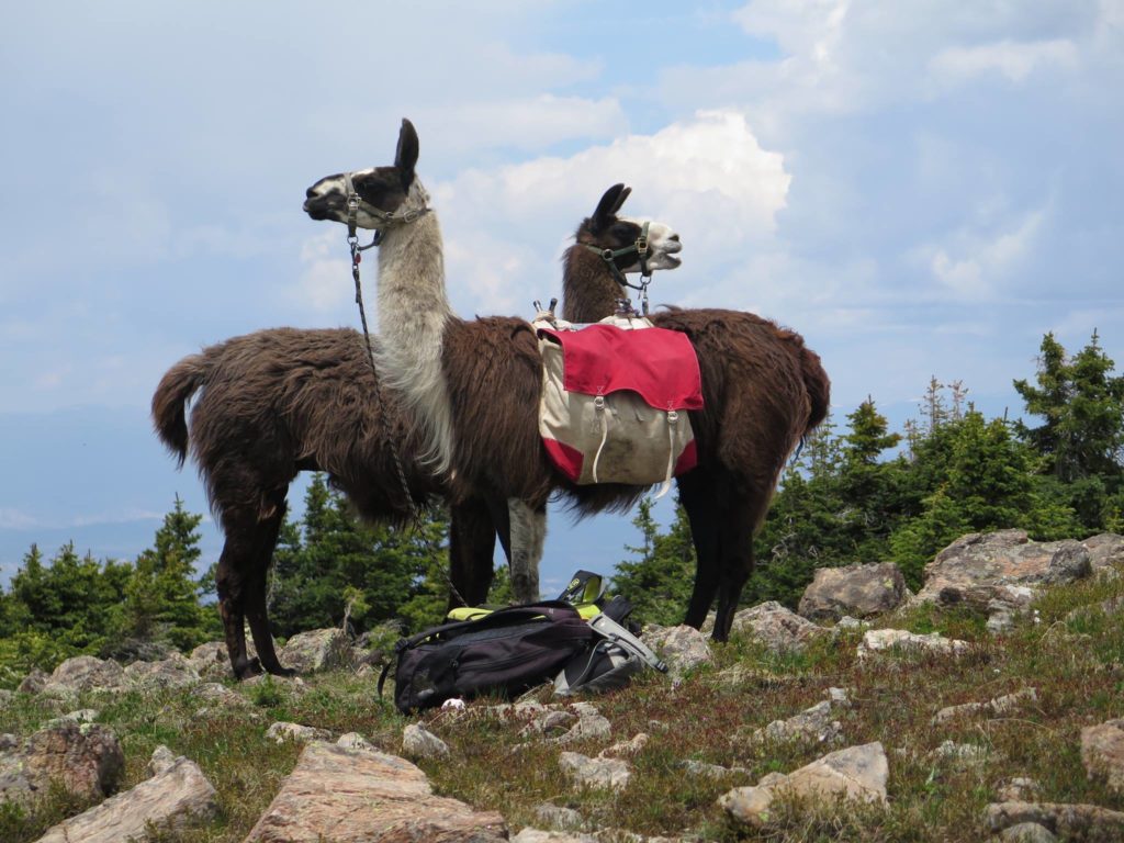 3 Completely New Ways to Enjoy Vail in the Summer - 303 Magazine