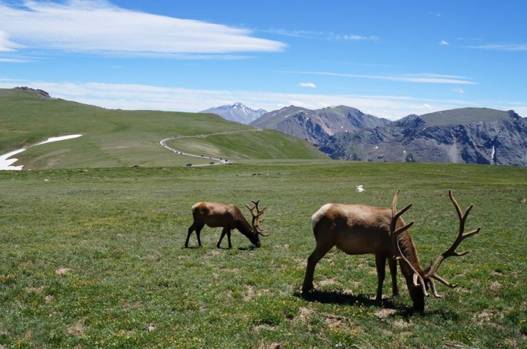 21 Fall Festivals in the Mountains to Attend This Year - 303 Magazine