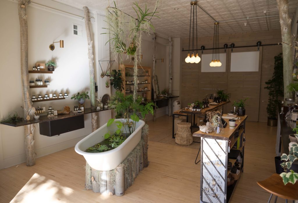 Fig and Yarrow Opens Up their First Flagship Store In the Highlands ...