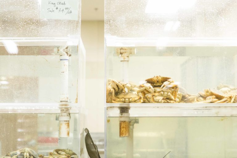 5 Authentic Asian Markets to Check Out in Denver - 303 Magazine