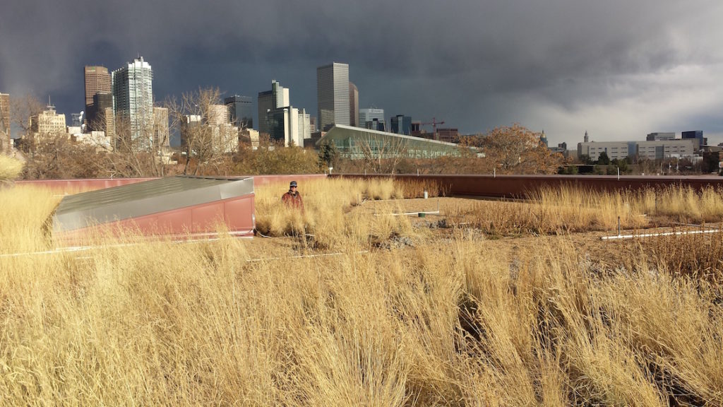 How Denver Has and Hasn’t Progressed on Sustainability Goals In The ...