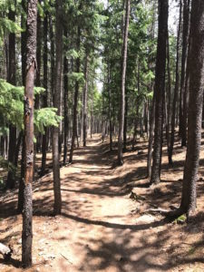 13 Beginner Mountain Biking Trails That Won't Kill You - 303 Magazine