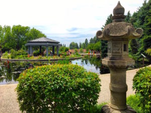 The Real Dill Pickle Party and 20 Other Food & Drink Events in Denver ...