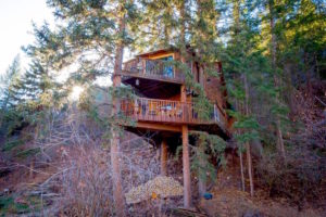 6 Treehouses You Can Rent in Colorado - 303 Magazine
