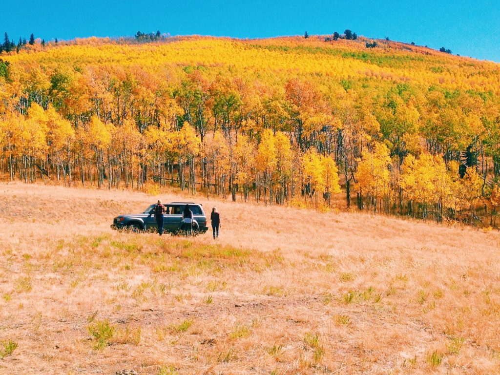 21 Fall Festivals in the Mountains to Attend This Year - 303 Magazine