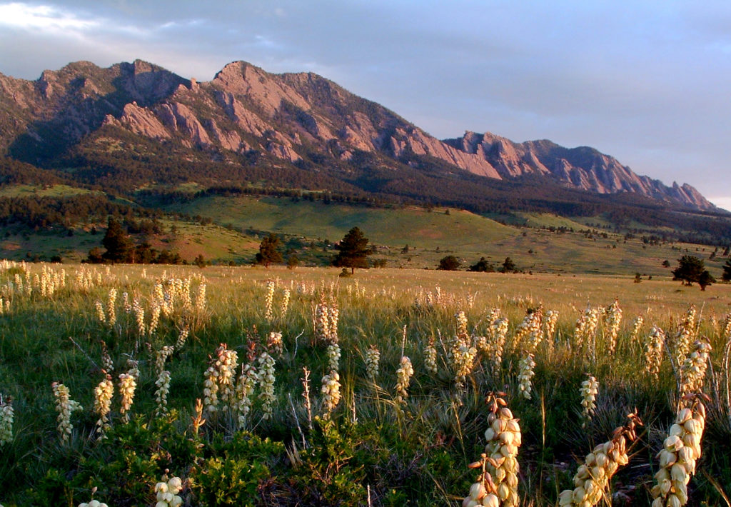 10 Melted Hikes You Can Do Now - 303 Magazine