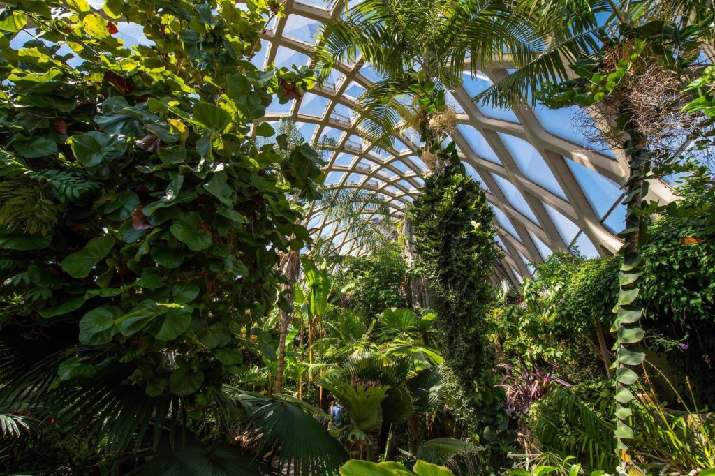 30+ Spring Date Ideas To Help You Explore Denver and Beyond - 303 Magazine