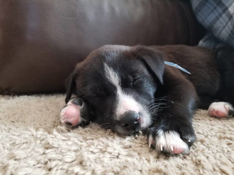 26 Unique Things to do in Denver this Weekend - 303 Magazine