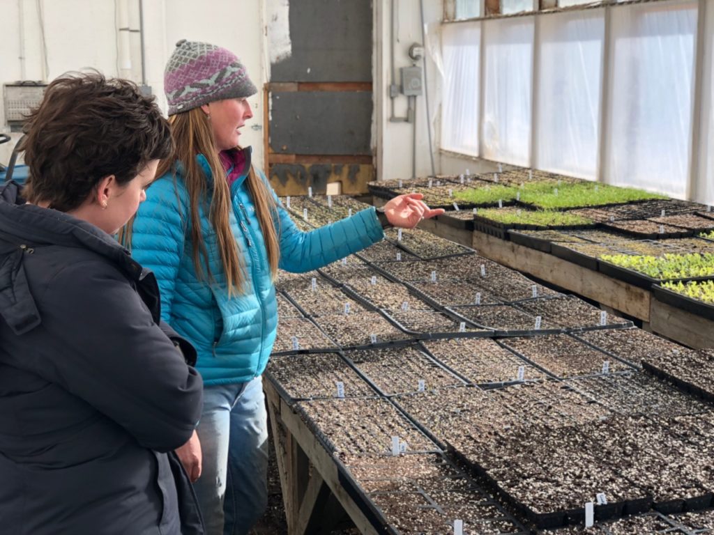 Meet the Farms Behind Some of Denver’s Favorite Restaurants - 303 Magazine