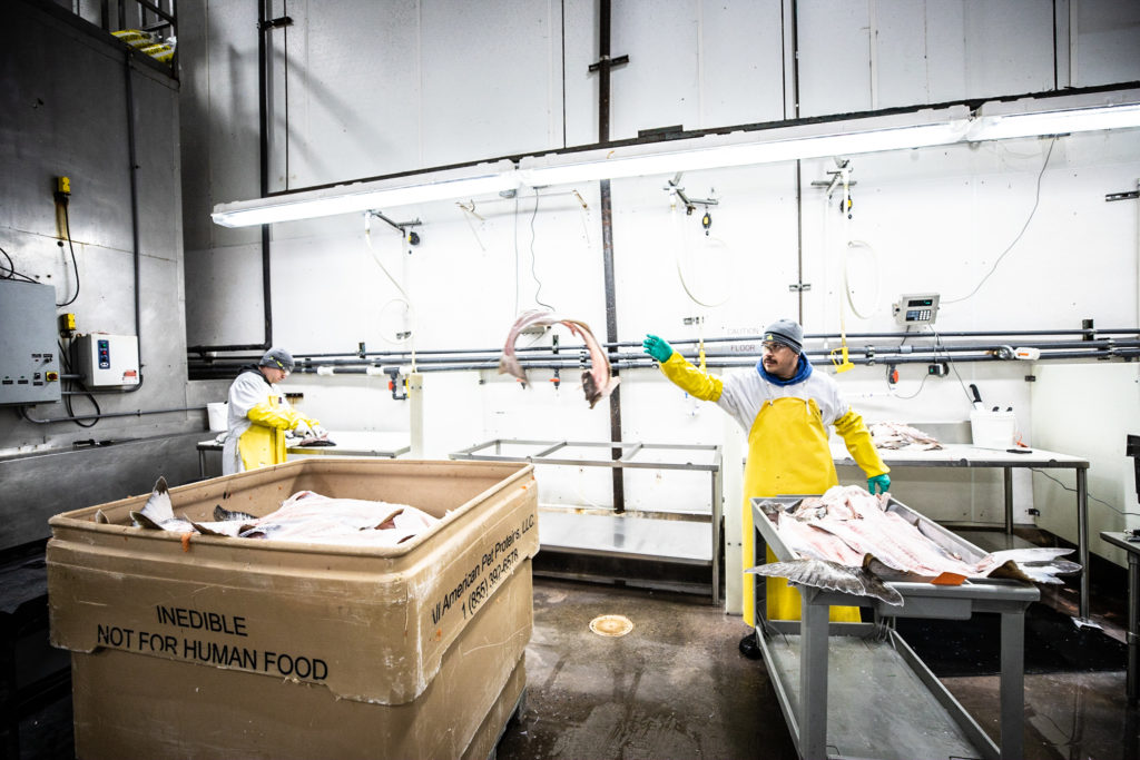Seattle Fish Co. Celebrates 100 Years in Denver with a Sustainability ...