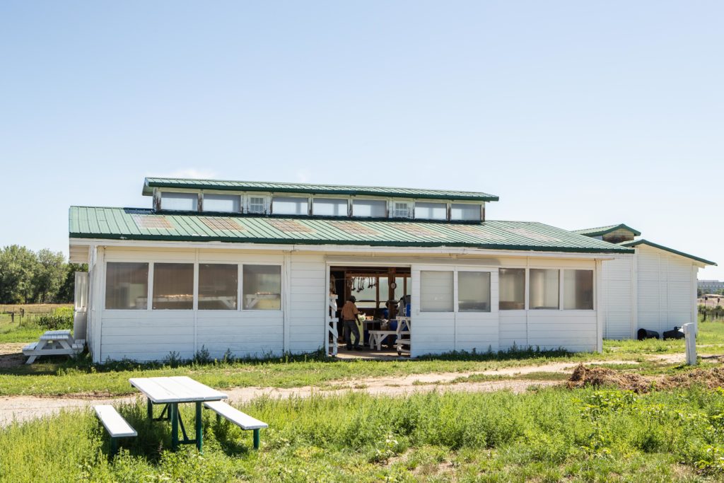 9 Urban Farms In Denver Changing How We View Food Production - 303 Magazine