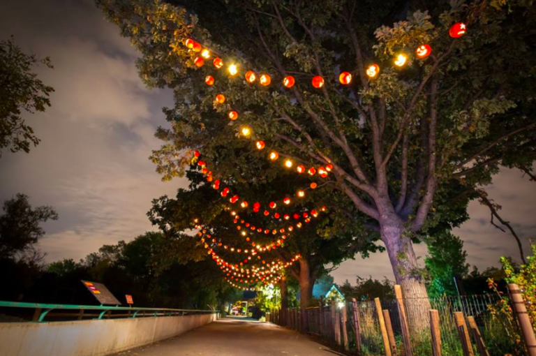 Every Denver Halloween Event You Should Know About - 303 Magazine