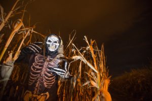 Every Denver Halloween Event You Should Know About - 303 Magazine