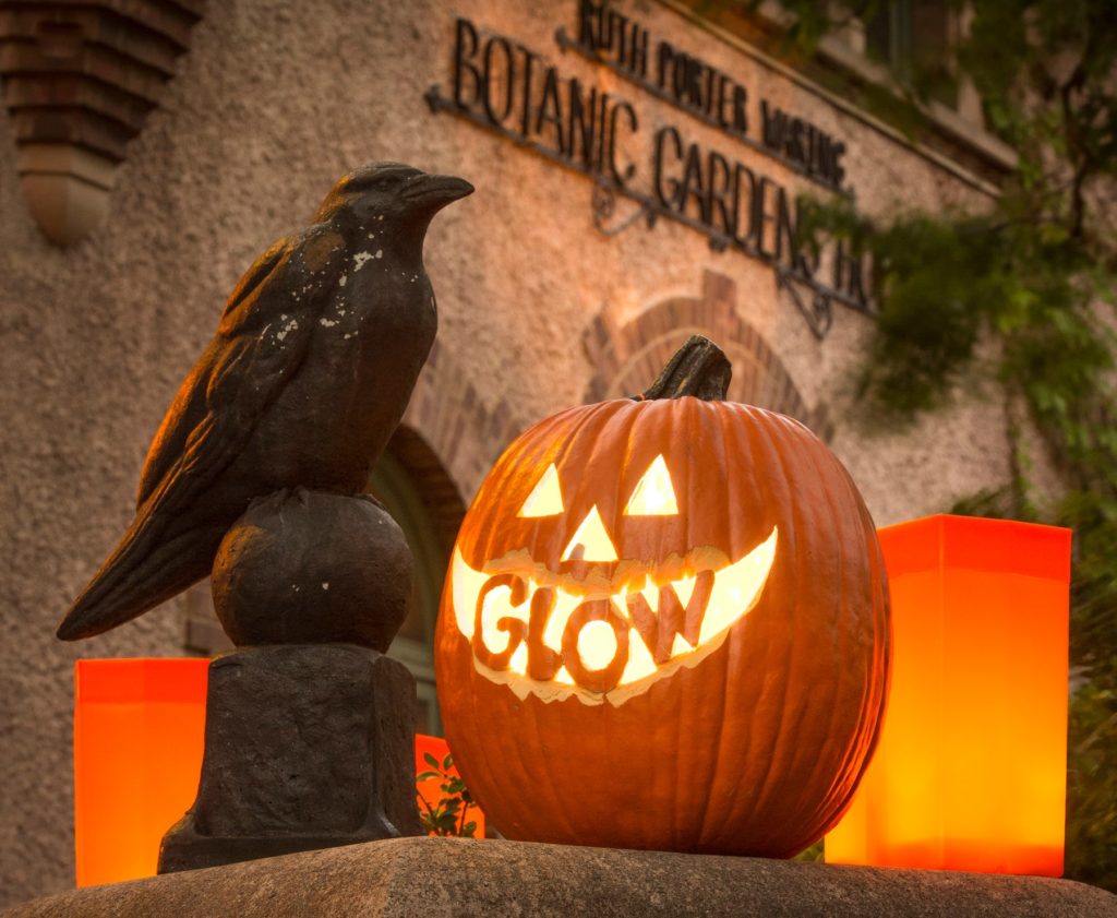 Every Denver Halloween Event You Should Know About - 303 Magazine