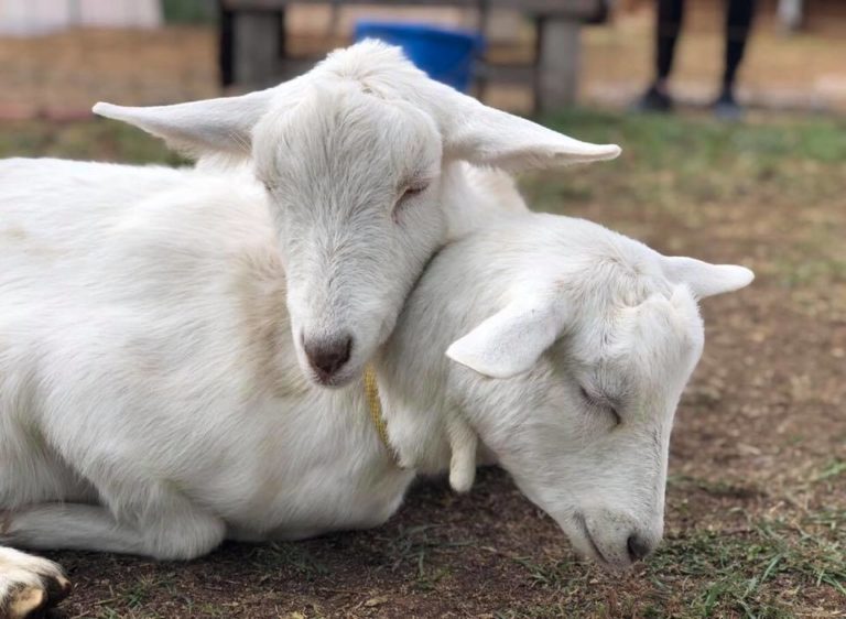 23 Things To Do in Real Life and Virtually This Weekend in Denver - 303 ...