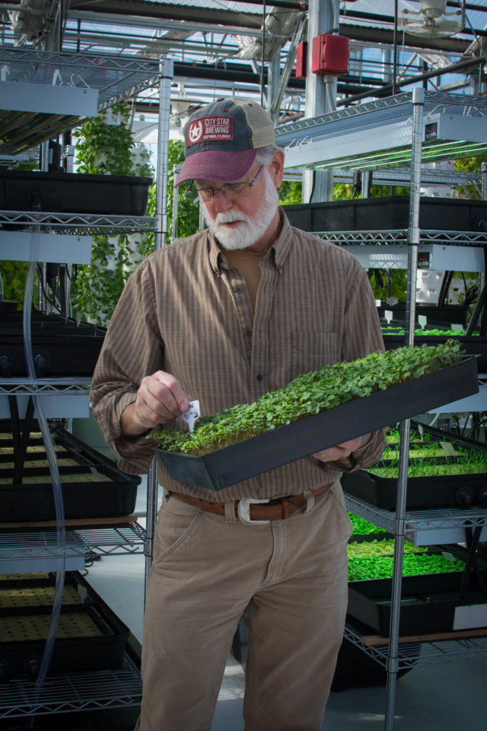 A Look Inside RiNo's Rooftop Urban Farm - 303 Magazine