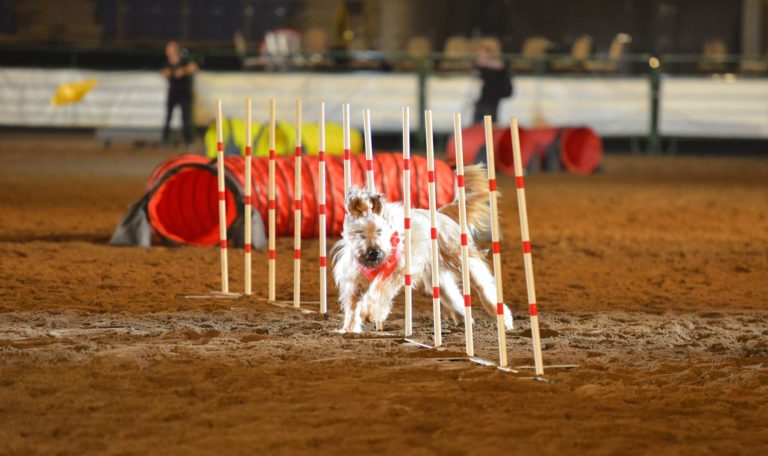 Untitled Final Fridays and 16 Things to do in Denver this Week - 303 ...