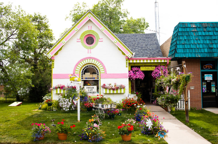Meet the Denver Florist Who Owns the Bright Pink House on South Pearl ...