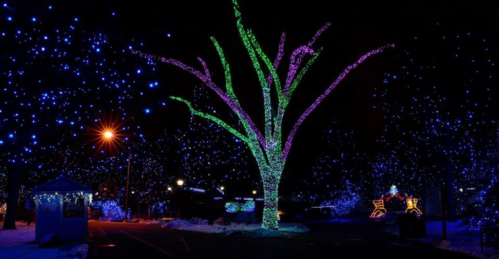 Parade of Lights and 34 Things to Do in Denver This Week - 303 Magazine