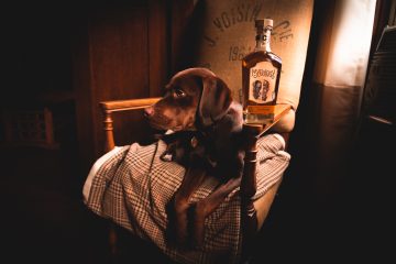 A Local Brewery and Distillery are Helping Dogs Get Adopted Through ...