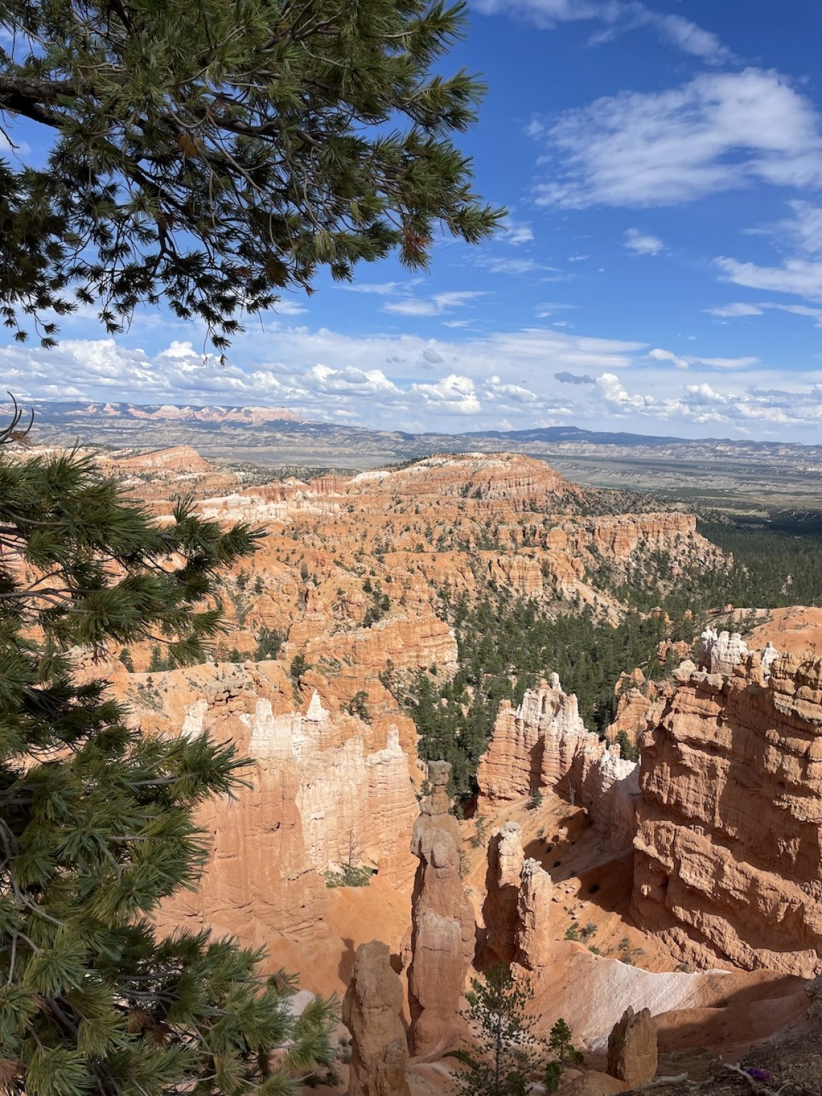 A Summer Road Trip Guide to Bryce Canyon Country - 303 Magazine