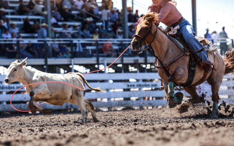 How to Experience the Best of Cheyenne Frontier Days - 303 Magazine