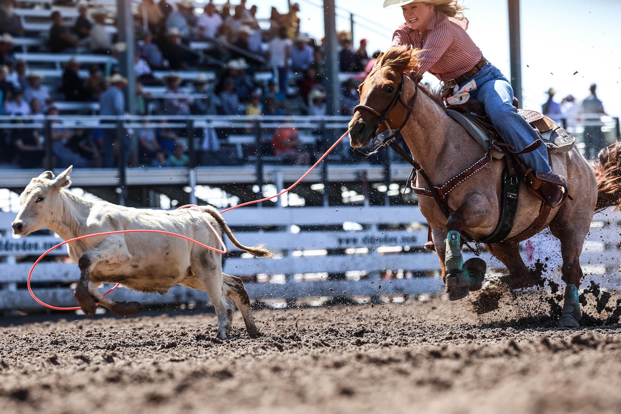 How to Experience the Best of Cheyenne Frontier Days - 303 Magazine