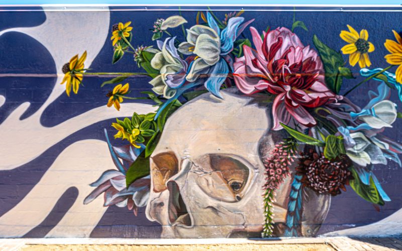 Denver Walls Talk: Mural Festivals You Don't Want to Miss - 303 Magazine