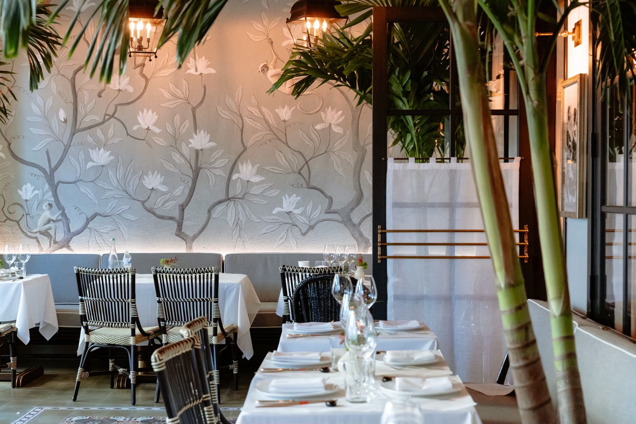 A Look Into Le Colonial – A Vietnamese Restaurant Settling Its Roots in ...