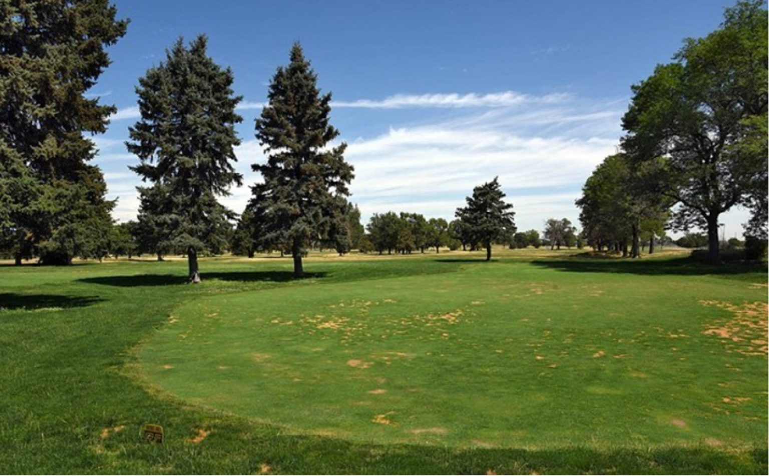 25 Things to do in Denver in 2025 - 303 Magazine