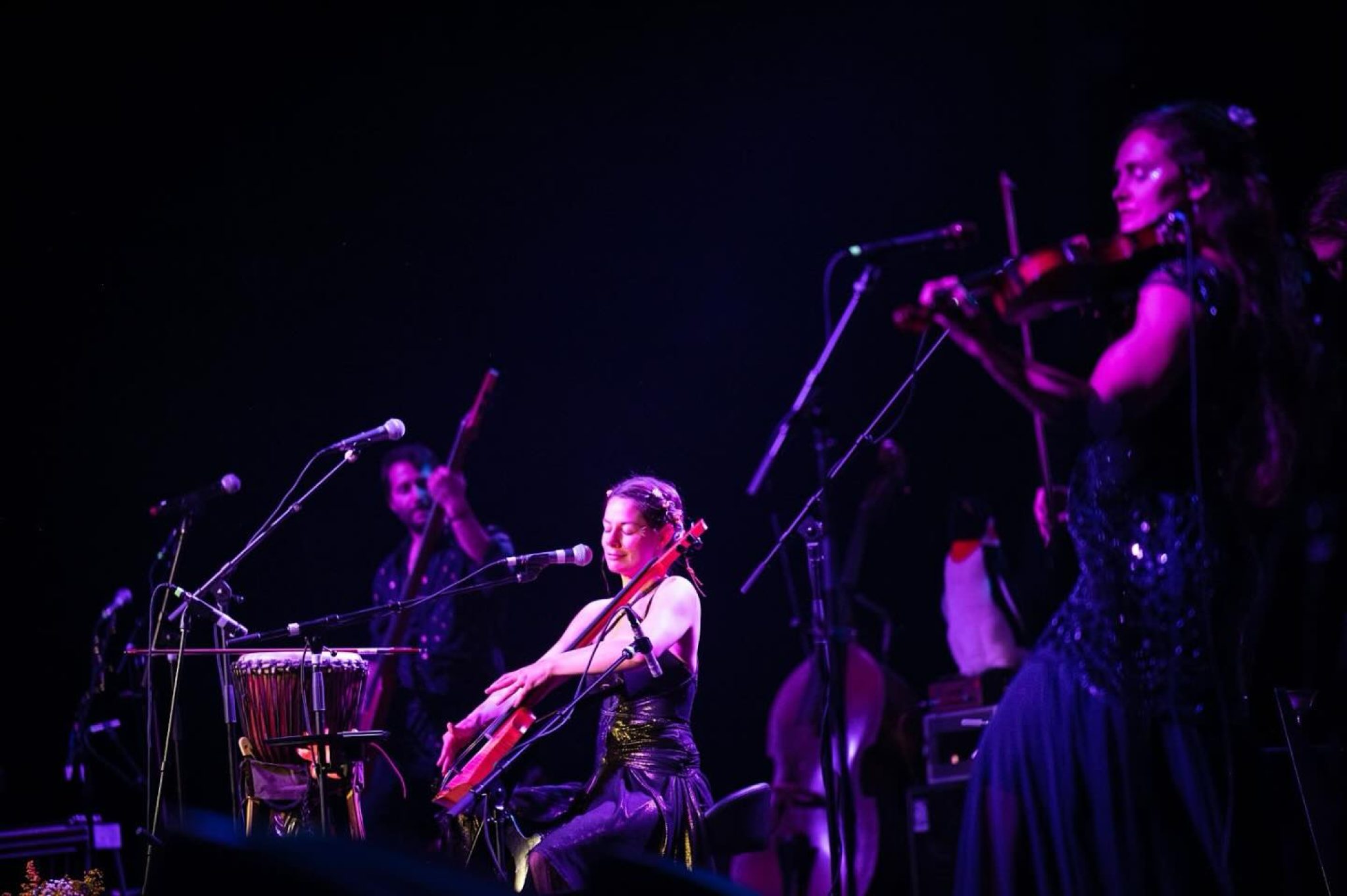 Profile — Elephant Revival's Bonnie Paine Talks the Cycle of Life Ahead ...