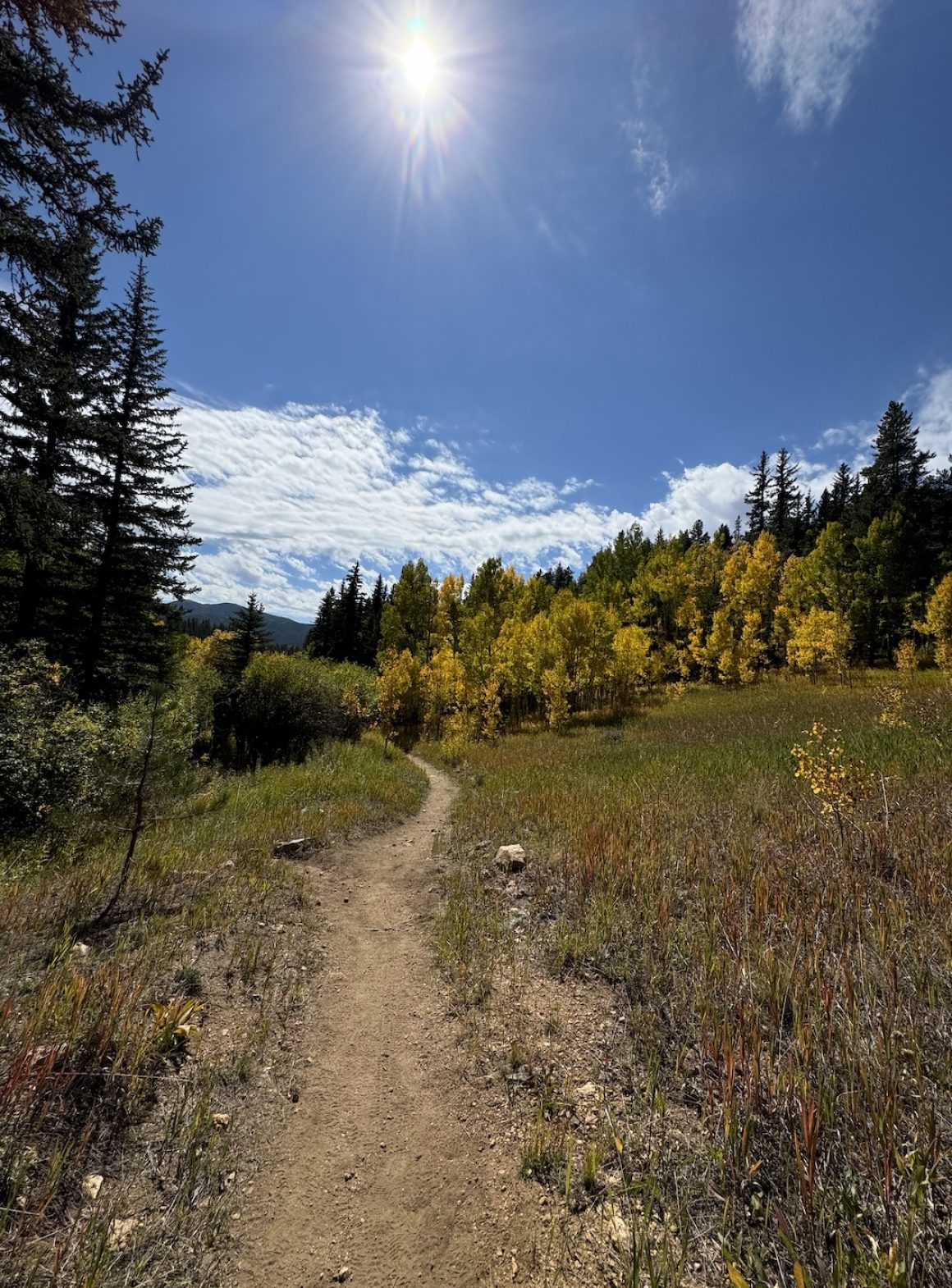 The Best Denver Hikes From The Locals Who Walk Them - 303 Magazine