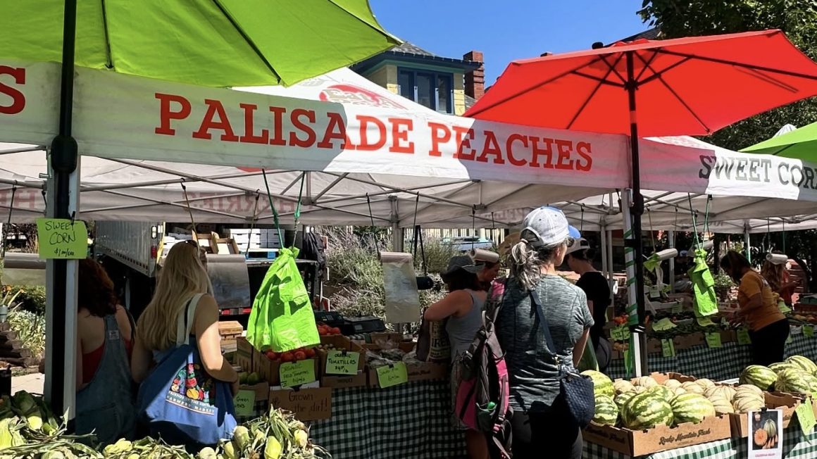 15 Things To Do in Denver This Weekend 9/3 - 9/7 - 303 Magazine