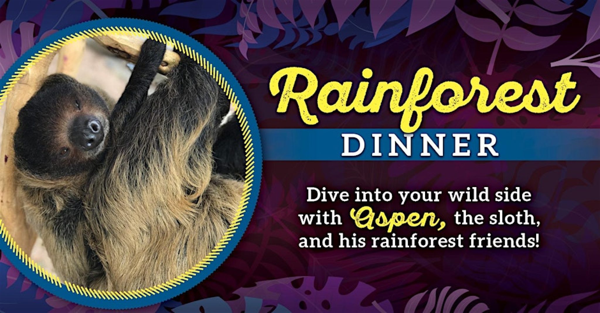 15 Things To Do in Denver This Weekend 9/10 - 9/14 - 303 Magazine