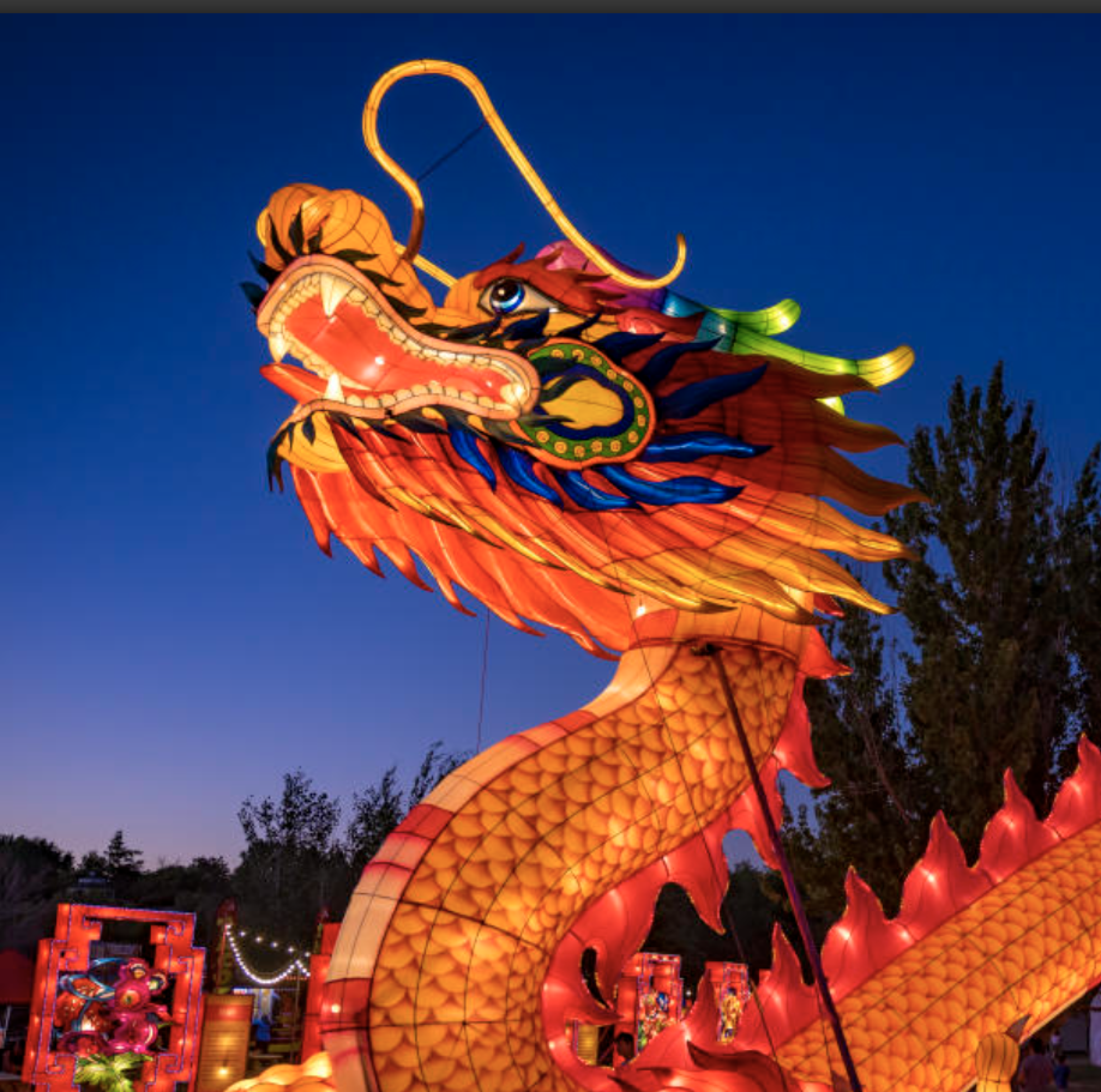 15 Things To Do in Denver This Weekend - 303 Magazine